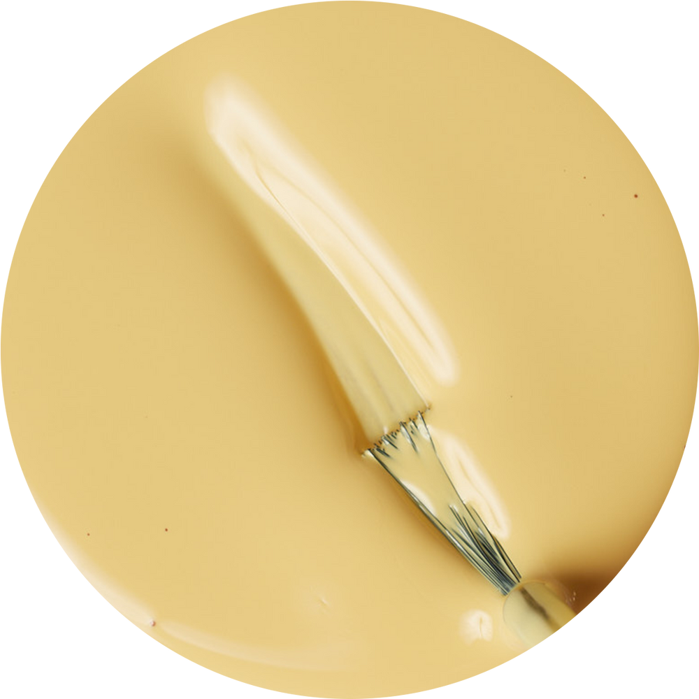 Trip Around The Sun Classic Lacquer